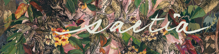 Saetia - Deathwish Inc