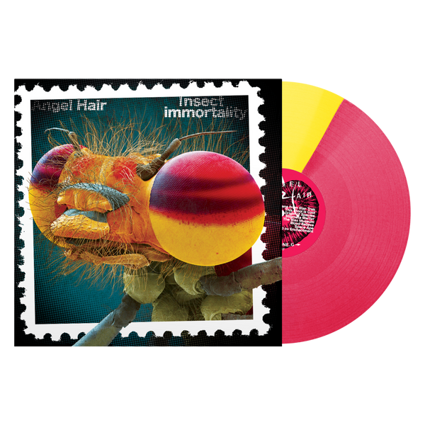 Angel Hair "Insect Immortality" - Deathwish Inc