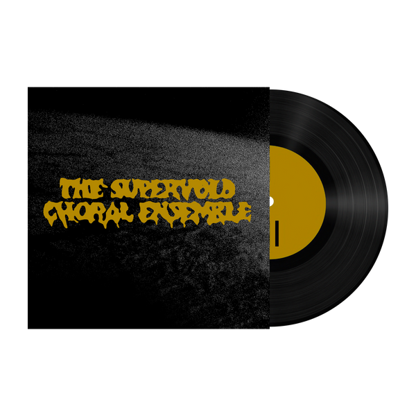The Supervoid Chorale Ensemble "The Supervoid Chorale Ensemble ...