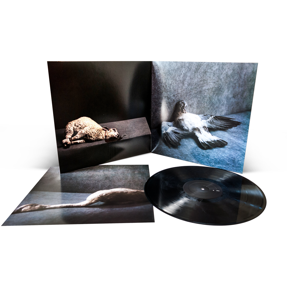Amenra Mass Vi Deathwish Inc